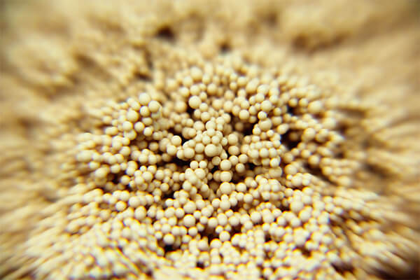 Resina de intercambio iónico fuertemente ácida, Resina de intercambio ...